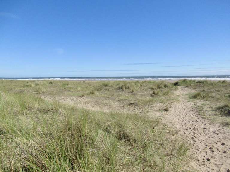 Reres Wood and Tentsmuir Sands loop from Leuchars — Tentsmuir National ...