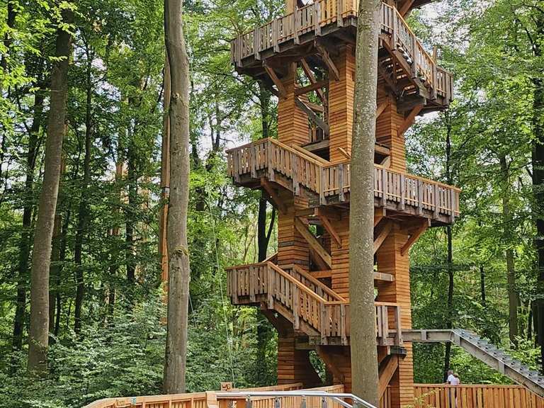 Baumwipfelpfad Bad Camberg – Wander- & Radrouten | Komoot
