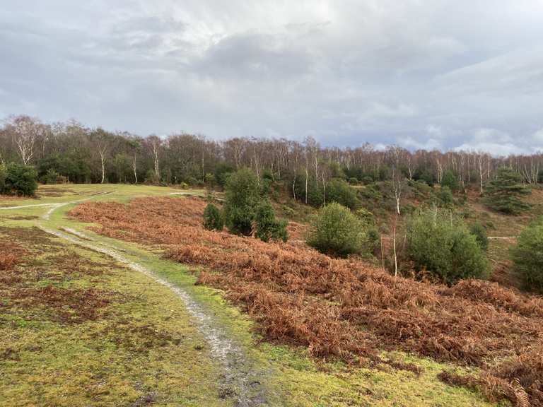 Andrew's Mare & Acres Down loop — New Forest National Park | wandeling ...