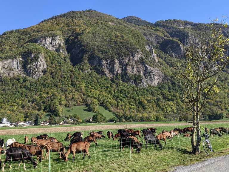 Col du Marais — boucle depuis la réserve naturelle du bout du Lac d ...