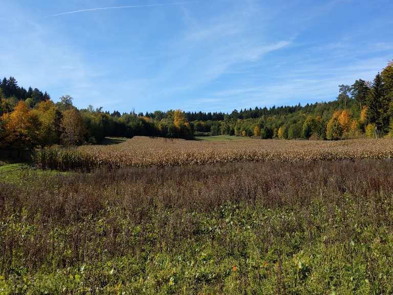 Gedenkstein Freiherr und Freifrau von Ow: Mountainbike-Touren und ...