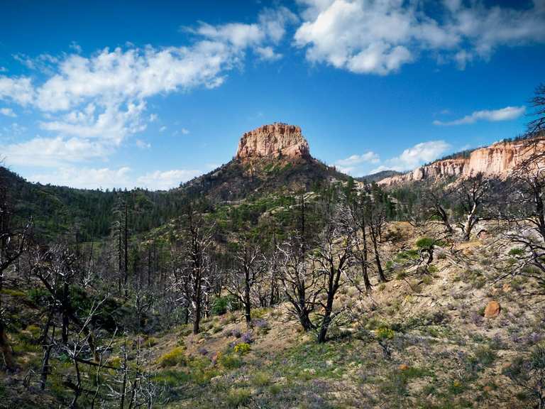 Swamp Canyon Loop — Bryce Canyon National Park | hike | Komoot