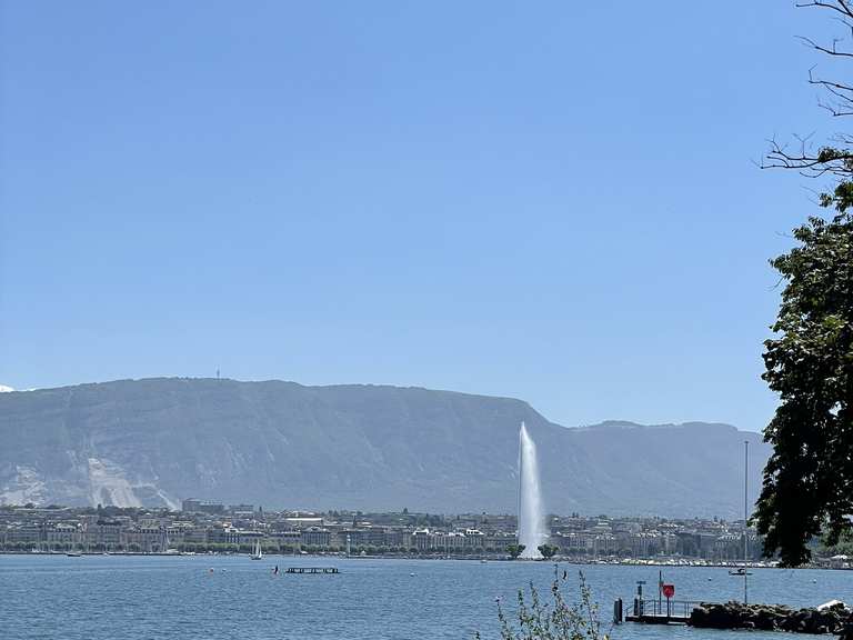 Parc Mon Repos, Monument: Wanderungen und Rundwege | komoot