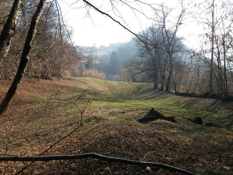 Tra boschi, pascoli e contrade — giro ad anello da San Francesco di ...