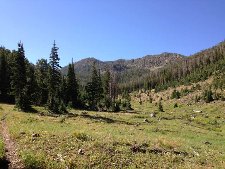 Jarbidge River Trail — Jarbidge Wilderness Area Du liebst es, Zeit in ...