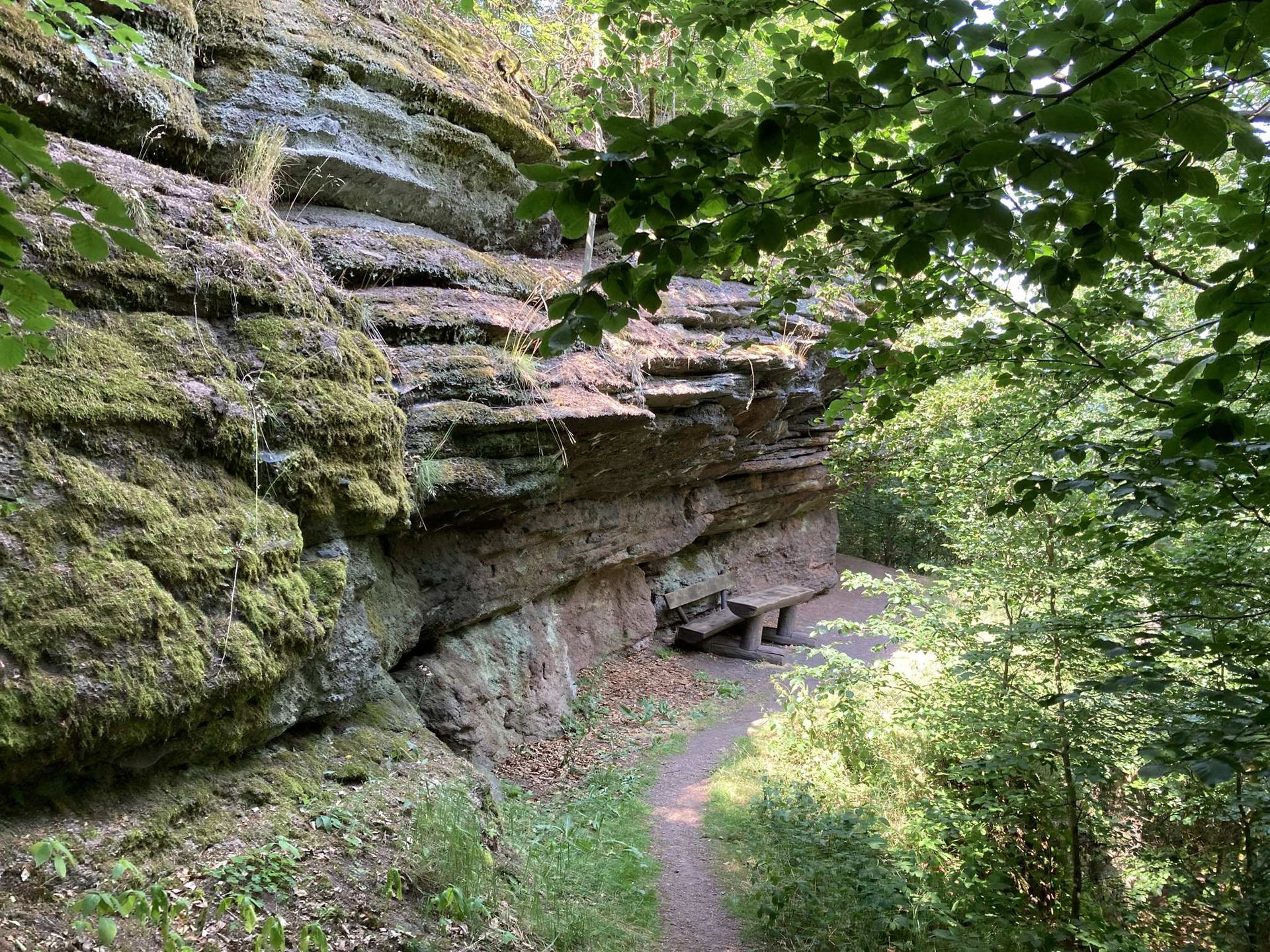 The Rennsteig — Thuringia's most beautiful hiking route | Hiking ...