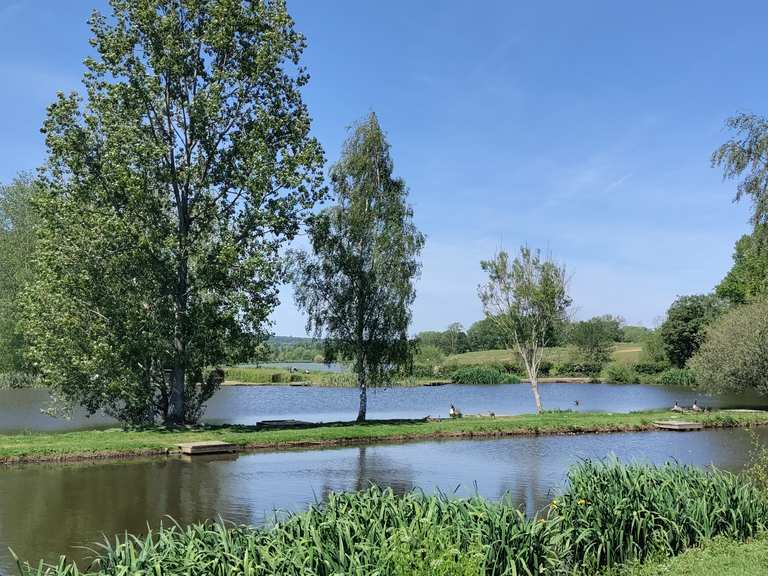 Winterfold Heath via Jelly's Hollow loop — Surrey Hills | hike | Komoot