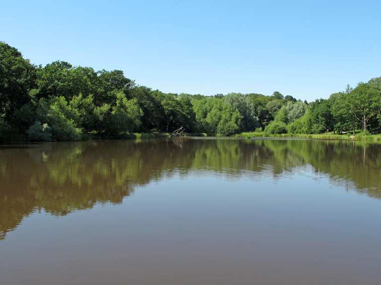 Old Hall Pond Routes for Walking and Hiking | Komoot