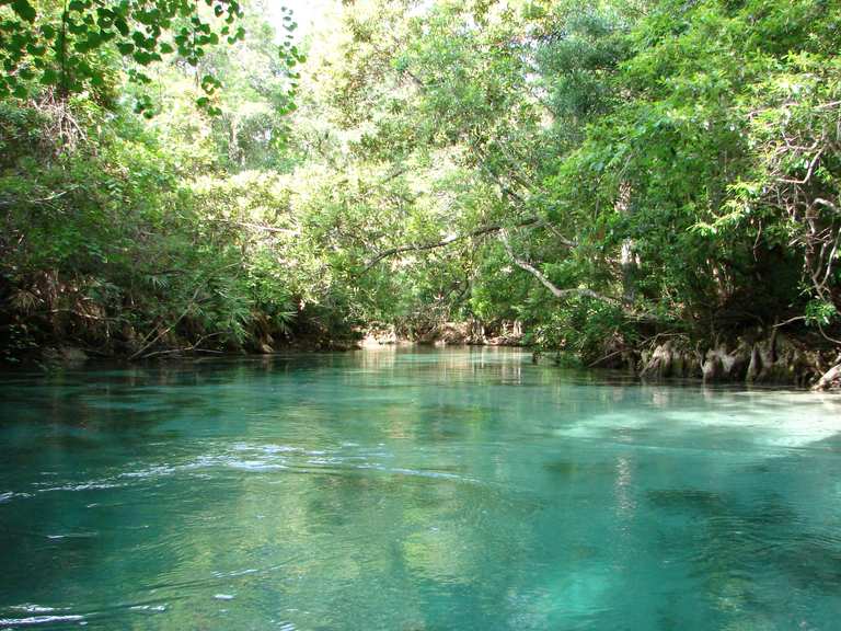 Weekiwachee Preserve to Weeki Wachee Springs State Park loop via ...