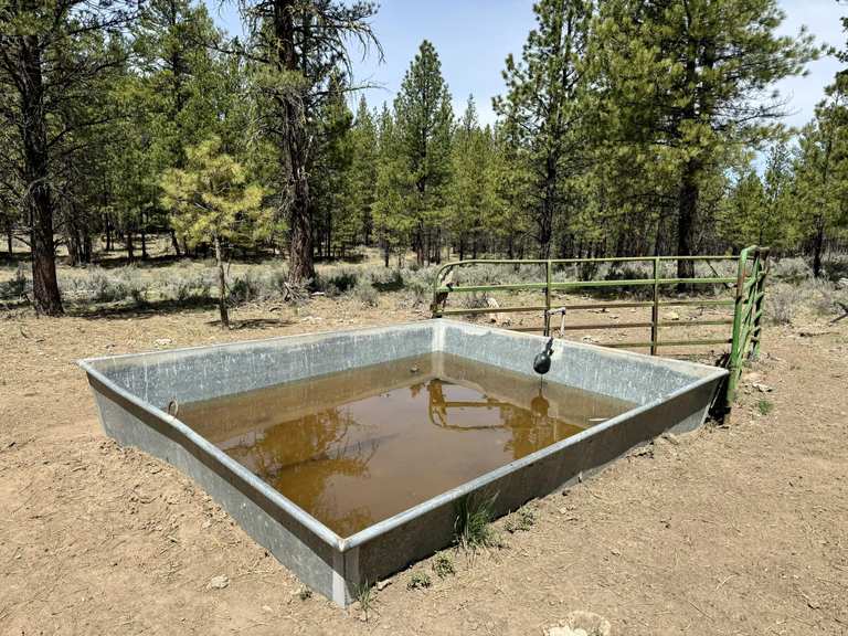 Unreliable trough Routes for Walking and Hiking | Komoot