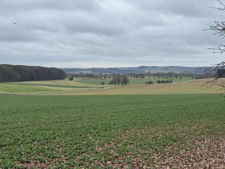 Aussicht auf den "Köppel" und Heiligenroth: Wanderungen und Rundwege ...