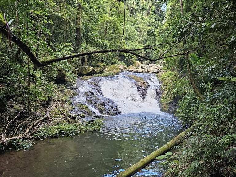 Canungra Creek Waterfalls (Kalgamahla Falls): Wanderungen und Rundwege ...