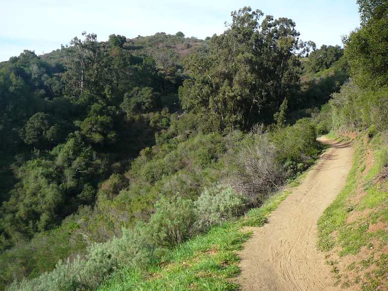 Alhambra Creek & Toyon Canyon Trail loop — Briones Regional Park ...