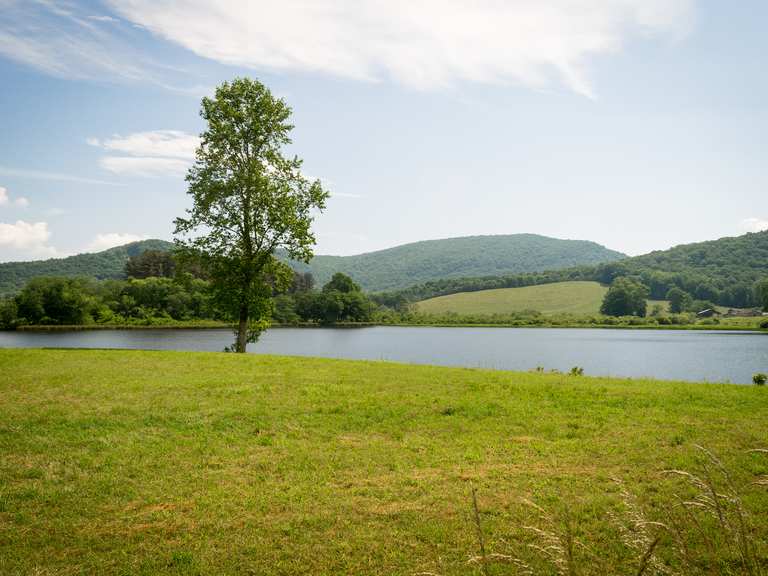 Newport Road from Woody Gap loop — Chattahoochee–Oconee National Forest ...
