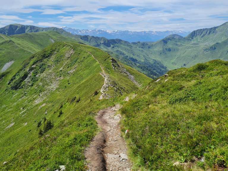 Sentiero di cresta con vista sul Großvenediger e sul Großglockner ...