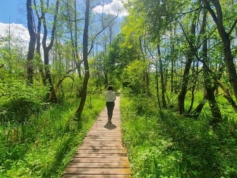 Pętla Roztoka - Zaborów Leśny - Kalisko (par le sentier principal de la ...