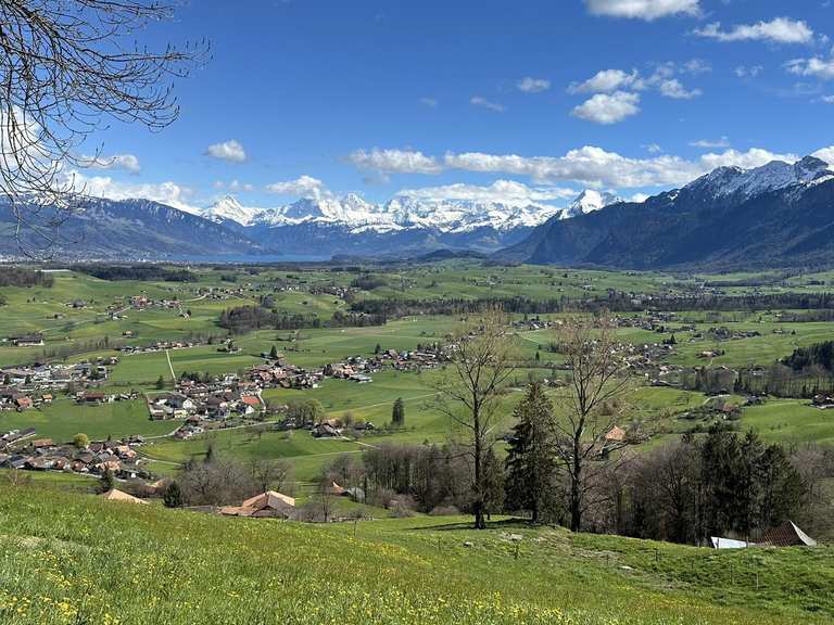 Vista del Eiger, Mönch y Jungfrau: Rutas MTB | Komoot