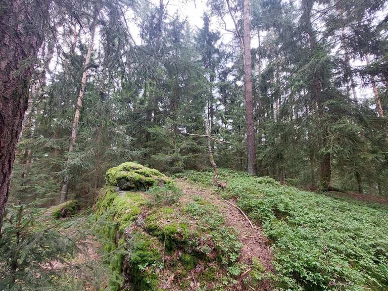 Buchberg Gipfel (813m): Wanderungen und Rundwege | komoot