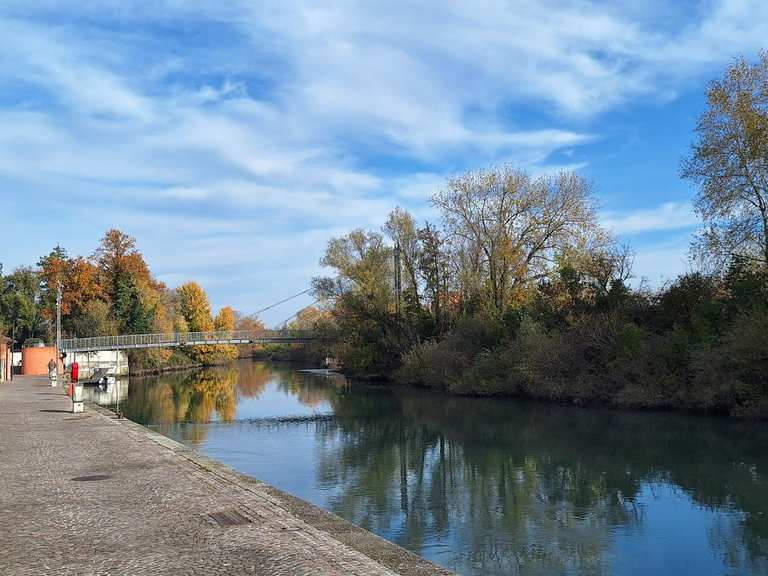 Stella River in Precenicco - Cycle Routes and Map | Komoot