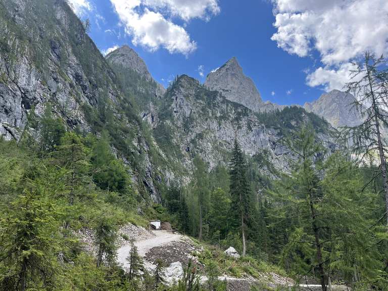Una nuova strada da cima Sappada a Malga Tuglia: percorsi e itinerari ...