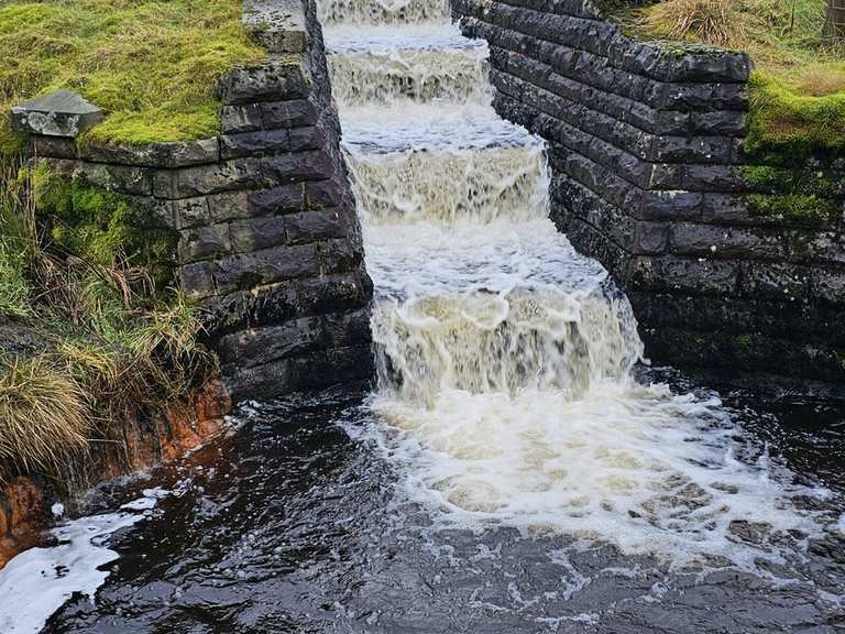 Cheesden Valley Walk Start Routes for Walking and Hiking | Komoot