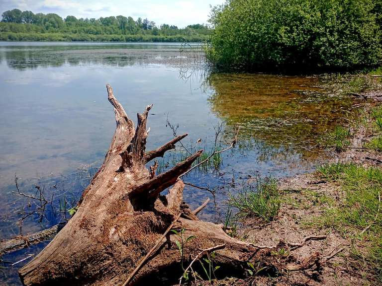 Lago di Ragogna - Mountain Bike Trails & Tracks | Komoot