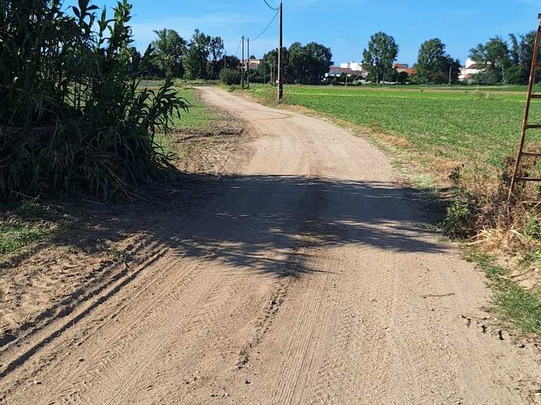 Lovely flat paths – Cycling Routes & How to Get There | Komoot