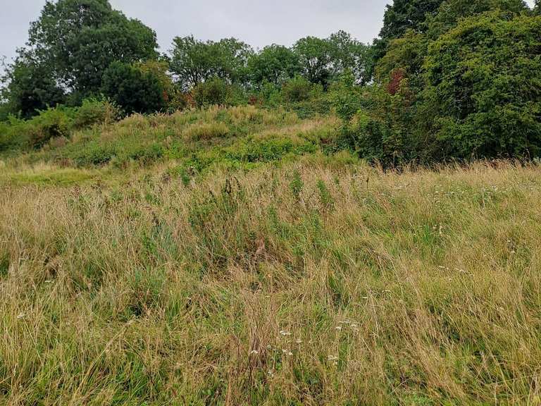 Ruinen von Mileham Castle: Wanderungen und Rundwege | komoot