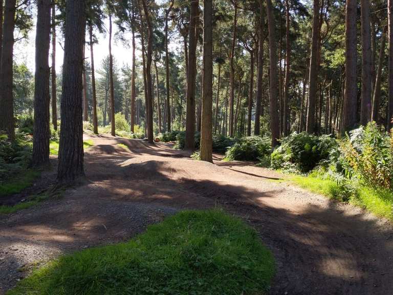 Blakemere Moss – Top of Old Pale Hill loop from Helsby | mountain bike ...
