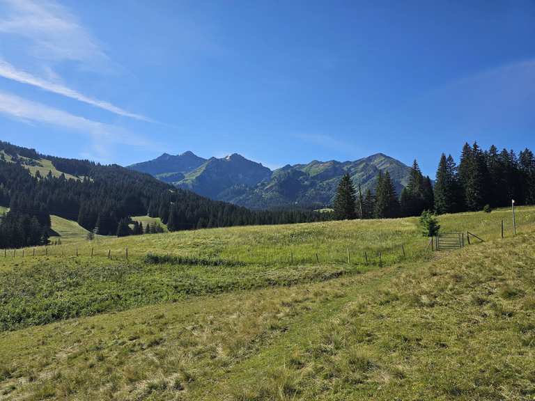 Du Col des Mosses au château-d’Œx – Parc Naturel Régional Gruyère Pays ...