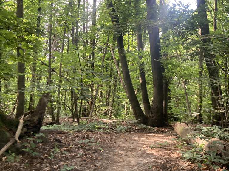 Sentiero della Collina Torinese from Po River to Parco della Maddalena ...