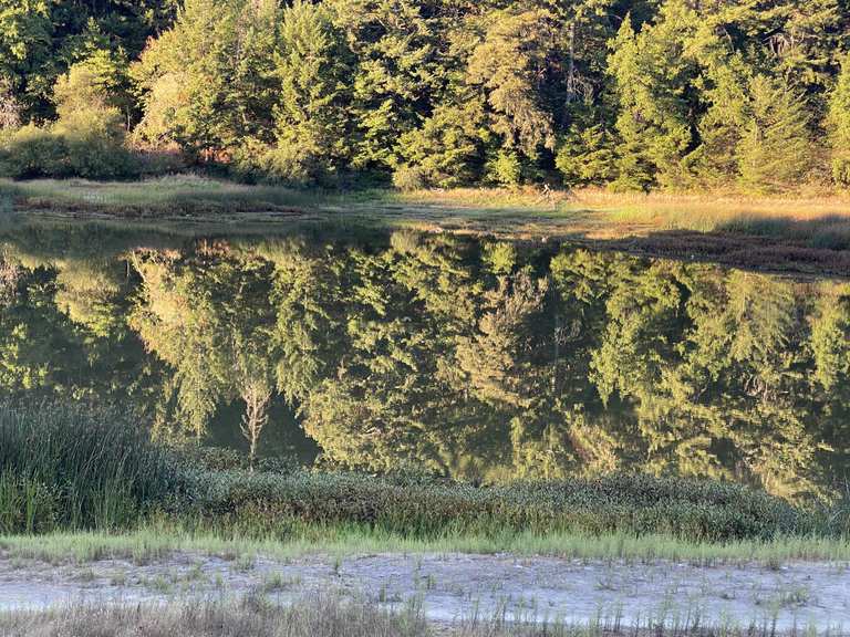Lake Ranch Reservoir: Touren und Karten | komoot