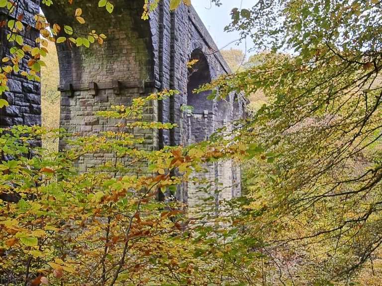 Rooley Moor, Greenbooth Reservoir & Healey Dell Viaduct loop | hike ...