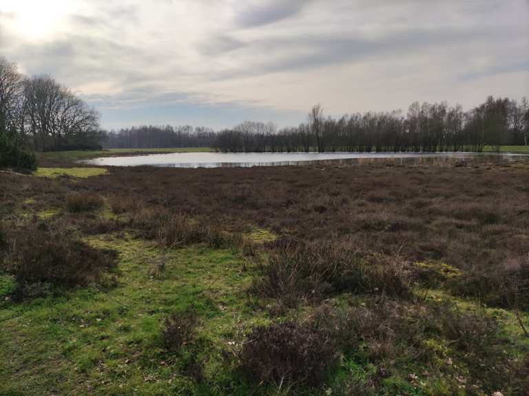 Wandelgebied Mantingerzand wandelroutes en hikes | Komoot