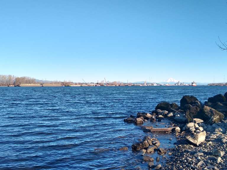 Vancouver Lake North Trail — Shillapoo Wildlife Recreation Area ...