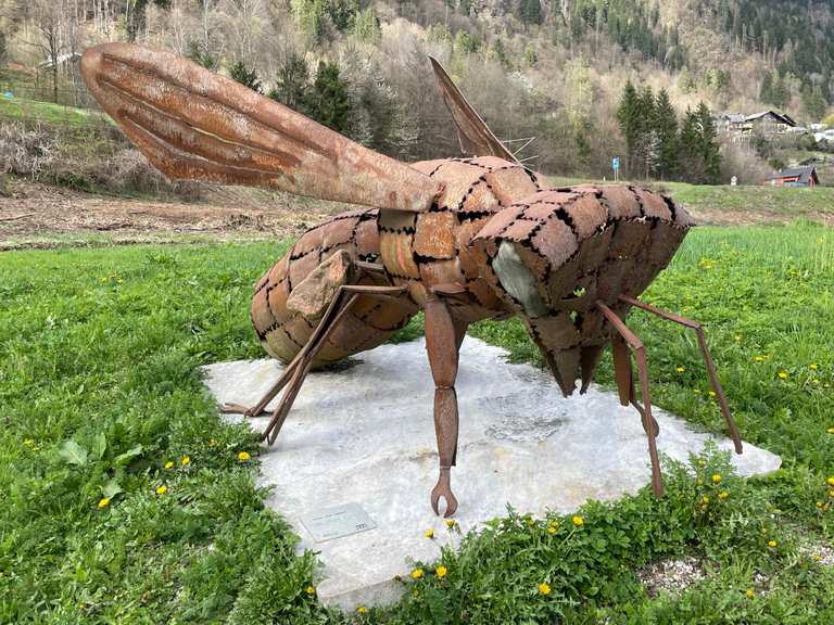 Fauler Willi - Bienenwiesen : Radtouren und Radwege | komoot