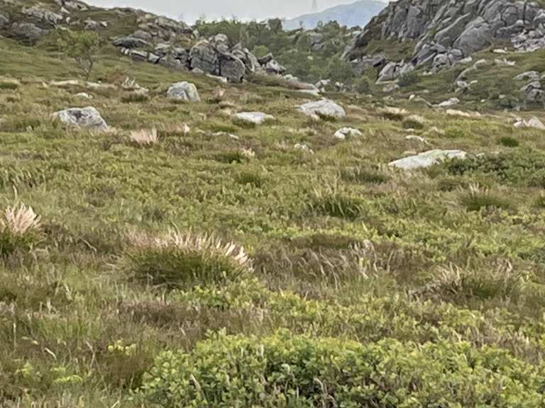 Karten i Brekko: Wanderungen und Rundwege | komoot