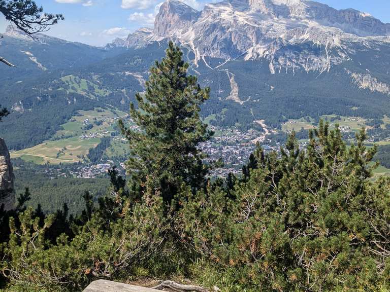 Dolomieu Trail 212 from Faloria to Rio Gere | hike | Komoot