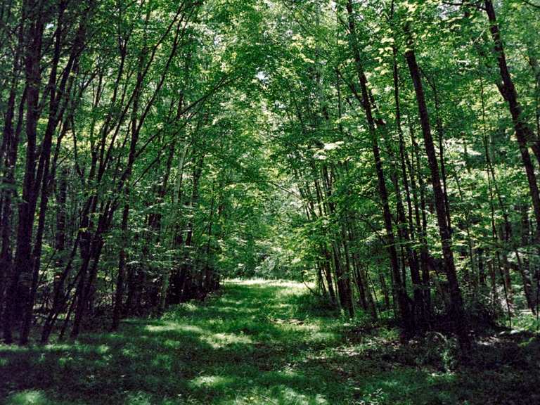 Hop Brook Dam Trail & Meshattuck Trail loop — Hop Brook Lake Recreation ...