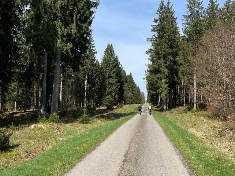 Durchs Lager Elsenborn zum Perlental: Radtouren und Radwege | komoot