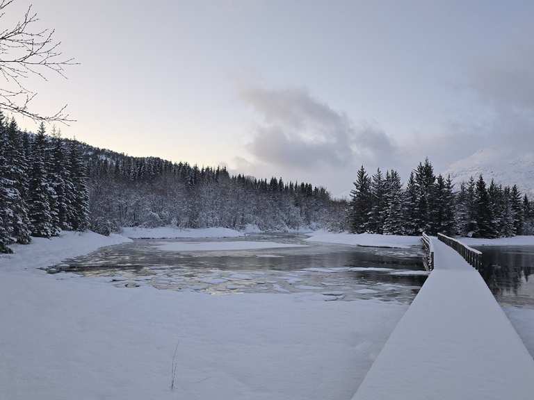 Lago ghiacciato e ponte di legno in Norvegia : percorsi escursionistici ...