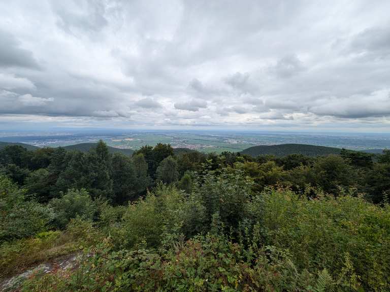 Kalmithaus – Felsenmeer Zwerchberg Runde von Sankt Martin | Wanderung ...