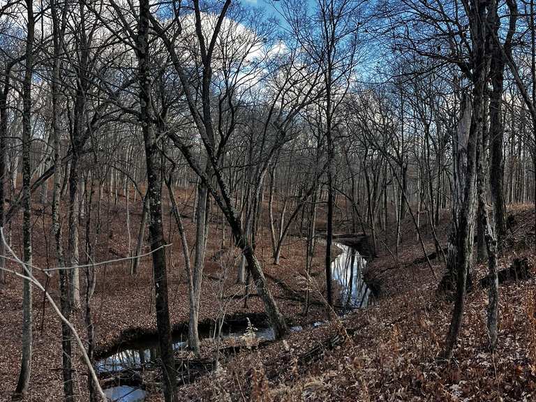Red & Yellow Trail loop — Deer Grove Forest Preserve | Gravel-Tour | Komoot