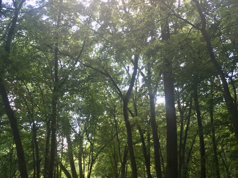 Cedar Lake Loop via Sac & Fox Trail — Marion | ride | Komoot