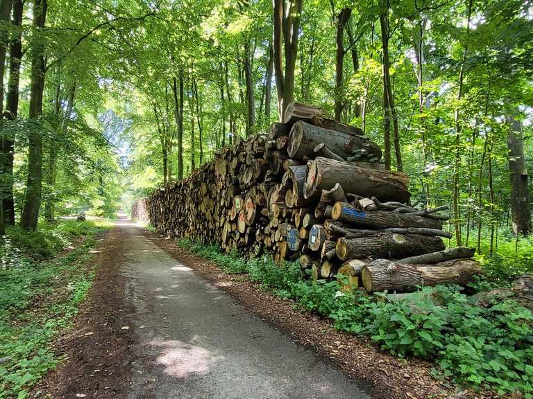 Côte des Princes vers la Carnelle Itinéraires vélo et carte | Komoot