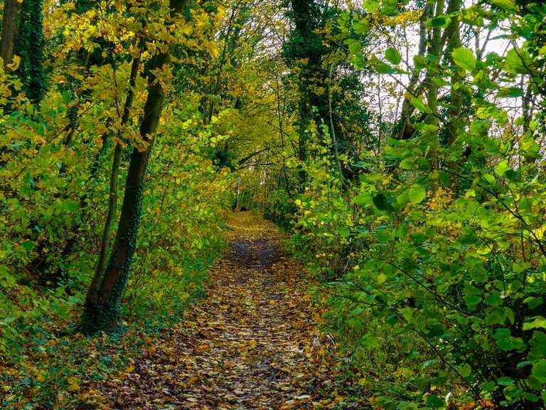 Ancienne Linie 582: Wanderungen und Rundwege | komoot