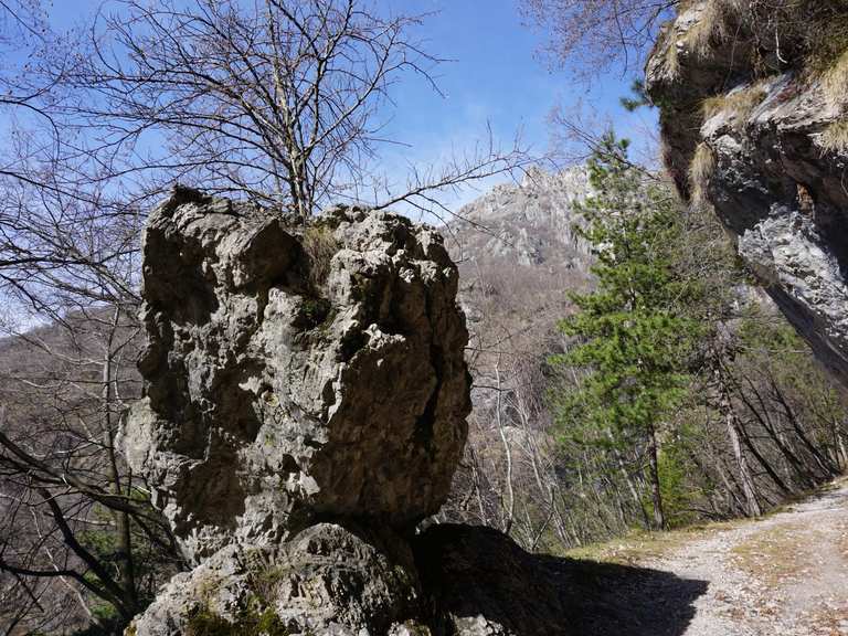 Foresta regionale Valsolda: Wanderungen und Rundwege | komoot