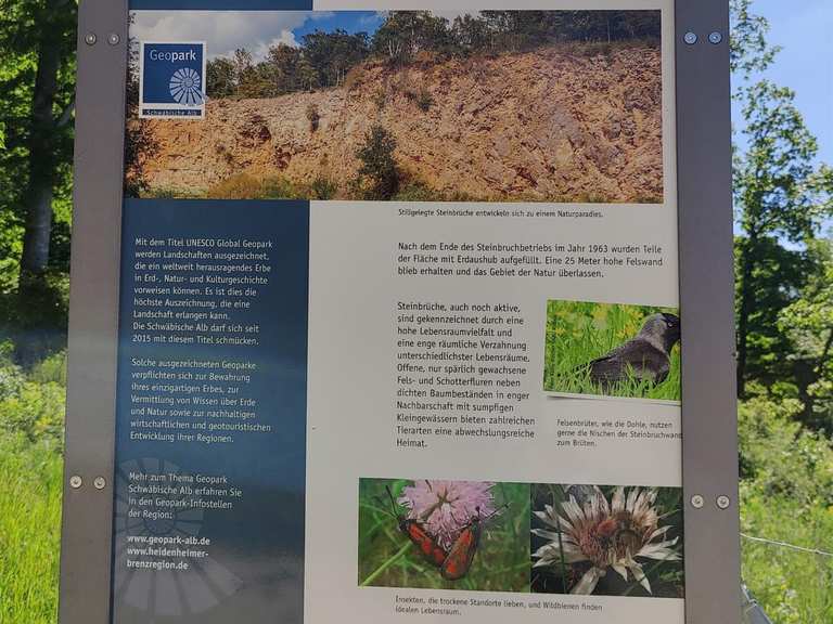 Itzelberg quarry viewing platform - Mountain Bike Trails & Tracks | Komoot