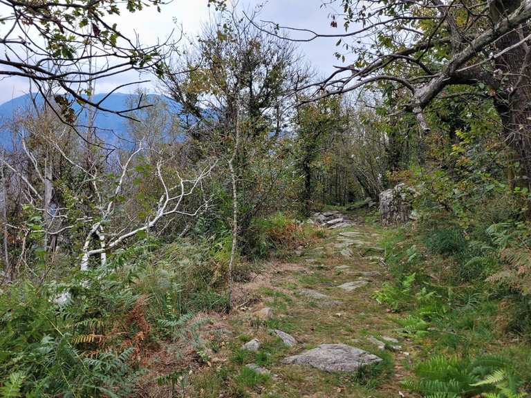 Réserve naturelle Bosco di Maia - Itinéraires vélo et carte | Komoot