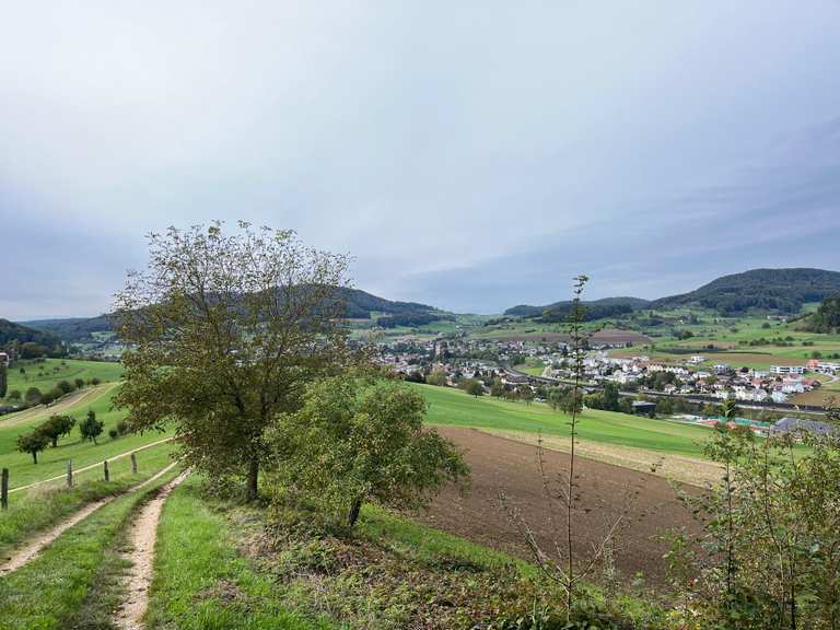 Blick auf Gelterkinden: Wanderungen und Rundwege | komoot
